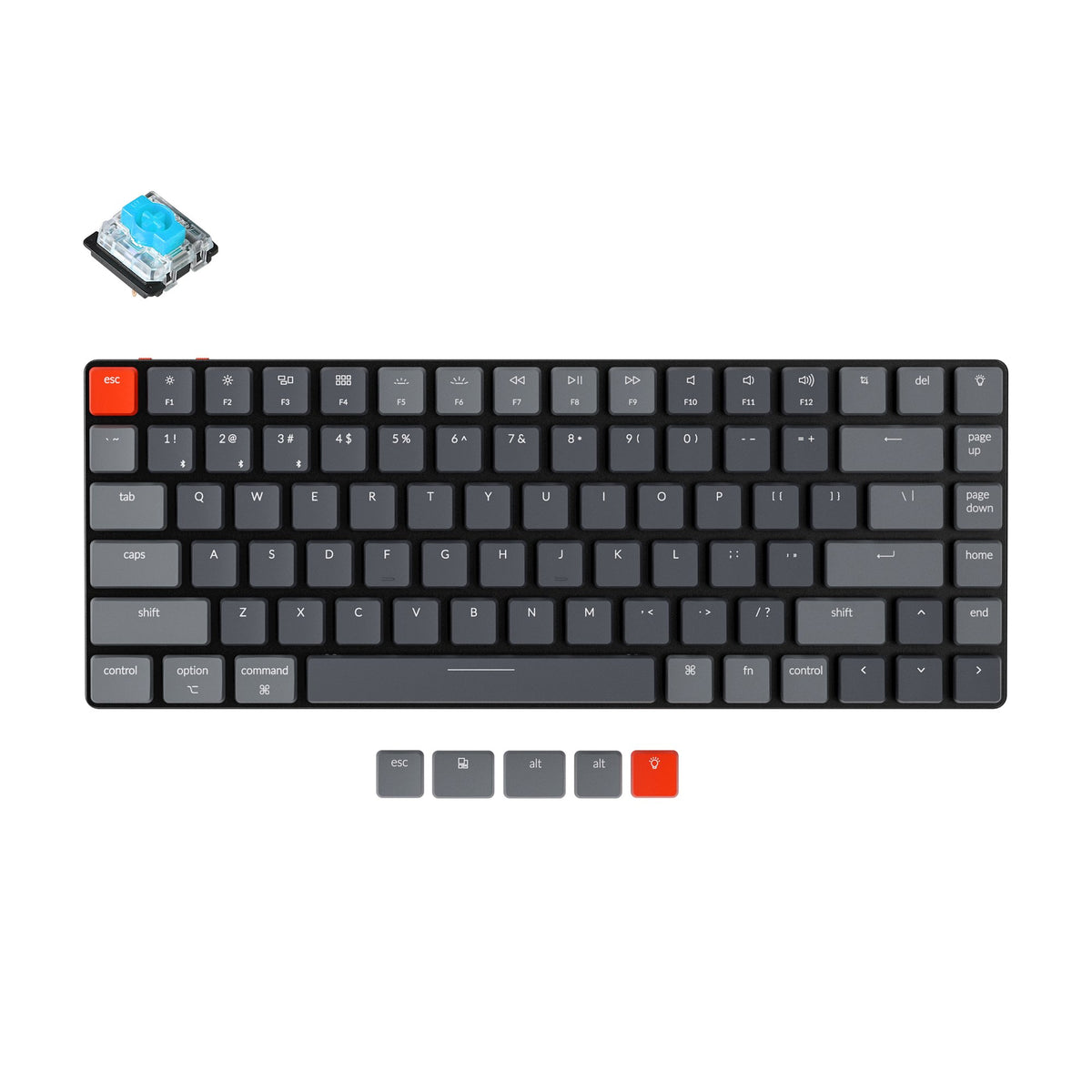 Keychron K Series Low-profile Keyboard Collection – Keychron UK